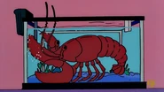 Atlantic Lobster | NatureRules1 Wiki | Fandom