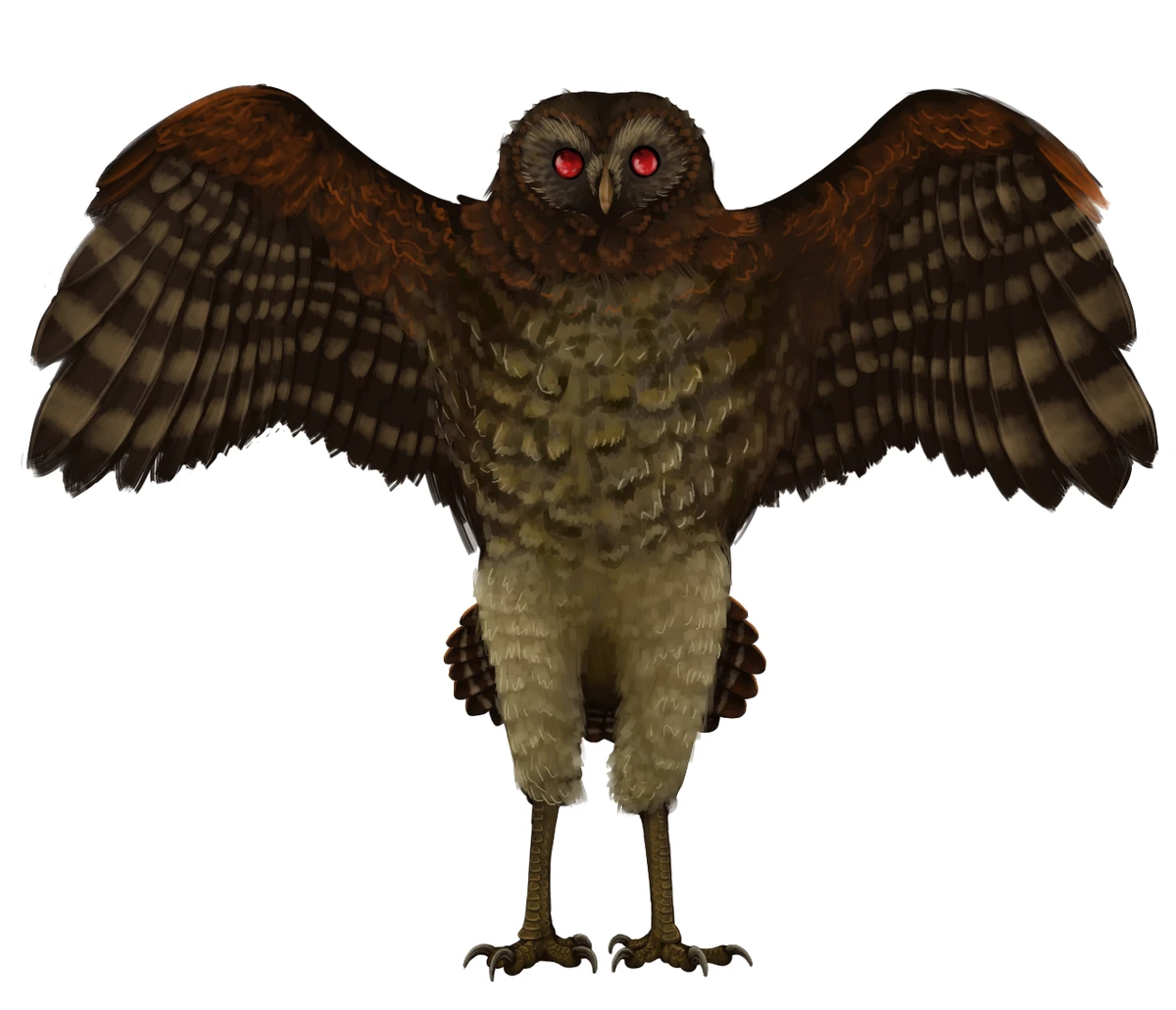 Cuban Giant Owl | NatureRules1 Wiki | Fandom