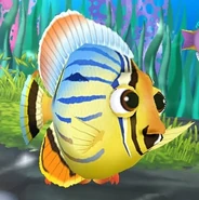 Bluestripe Butterflyfish | NatureRules1 Wiki | Fandom