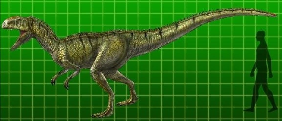 Neovenator | NatureRules1 Wiki | Fandom