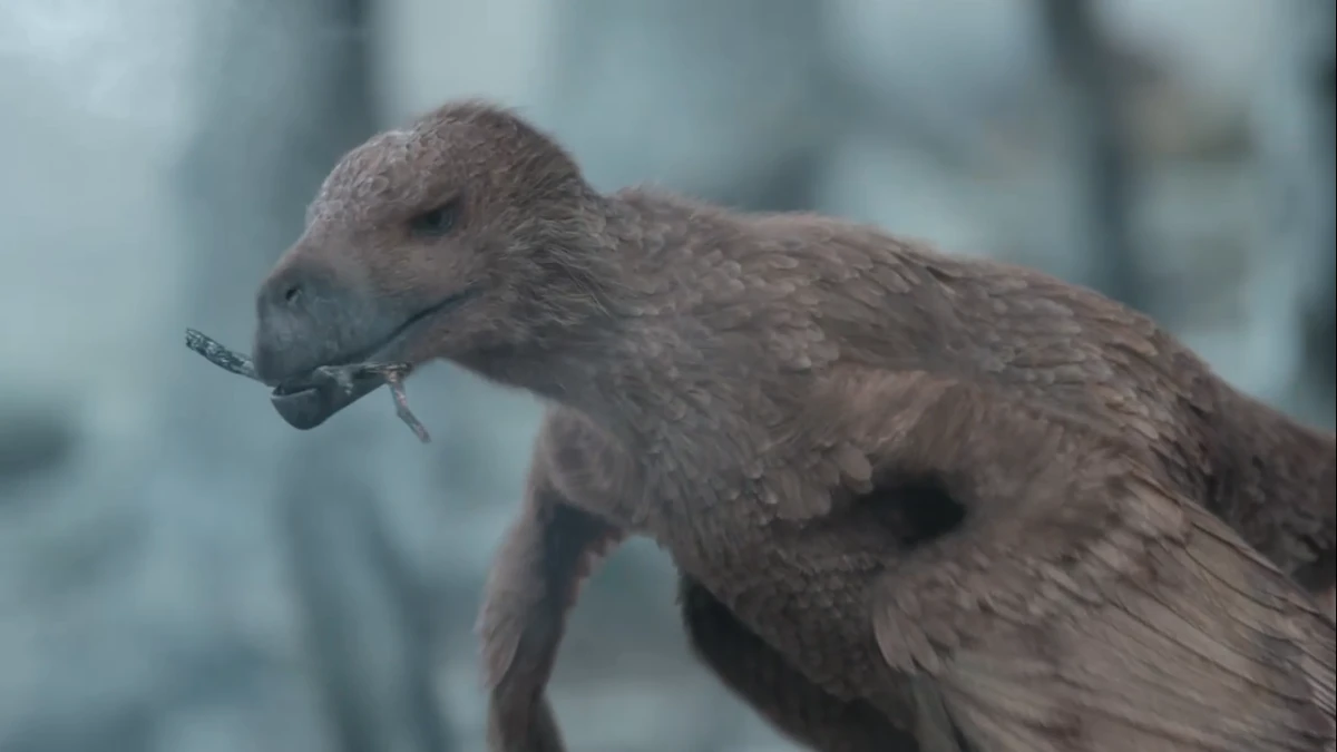 Atrociraptor | NatureRules1 Wiki | Fandom