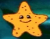 Purple Sunstar | NatureRules1 Wiki | Fandom