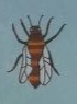 Microcosmos | NatureRules1 Wiki | Fandom