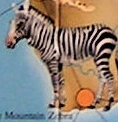Mountain Zebra | NatureRules1 Wiki | Fandom