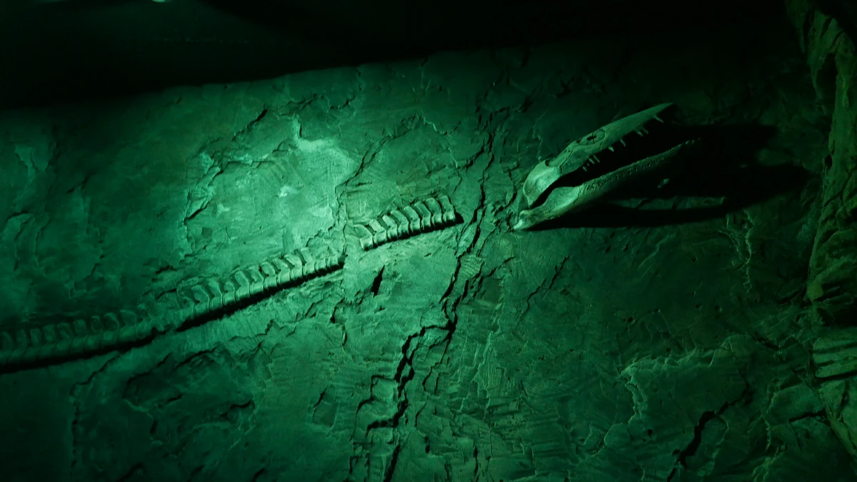 Halisaurus | NatureRules1 Wiki | Fandom