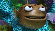 List of Species in Finding Nemo | NatureRules1 Wiki | Fandom