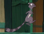 Ring-tailed Lemur | NatureRules1 Wiki | Fandom