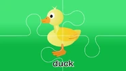 Pekin Duck | NatureRules1 Wiki | Fandom