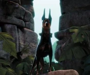 Doberman Pinscher | NatureRules1 Wiki | Fandom