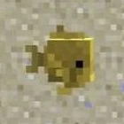 Yellow Tang | NatureRules1 Wiki | Fandom