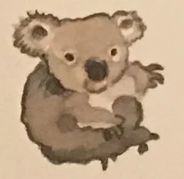 Koala/Books | NatureRules1 Wiki | Fandom