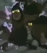 Capelobo | NatureRules1 Wiki | Fandom