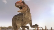 Allosaurus | NatureRules1 Wiki | Fandom