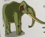 Stegodon | NatureRules1 Wiki | Fandom