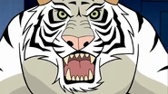 White Tiger | NatureRules1 Wiki | Fandom