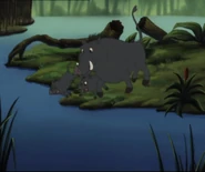 Indian Boar | NatureRules1 Wiki | Fandom