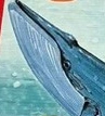 Blue Whale | NatureRules1 Wiki | Fandom