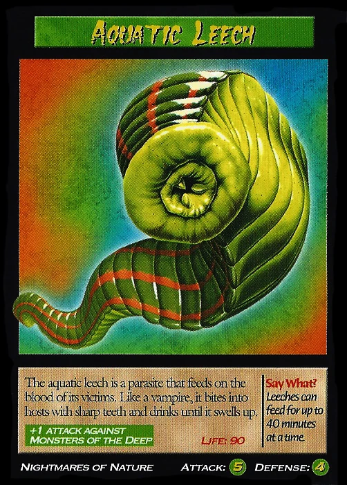 Horse Leech | NatureRules1 Wiki | Fandom