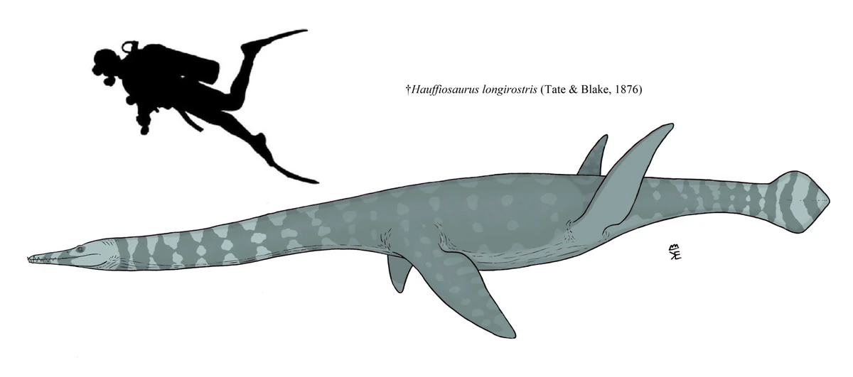 Hauffiosaurus | NatureRules1 Wiki | Fandom