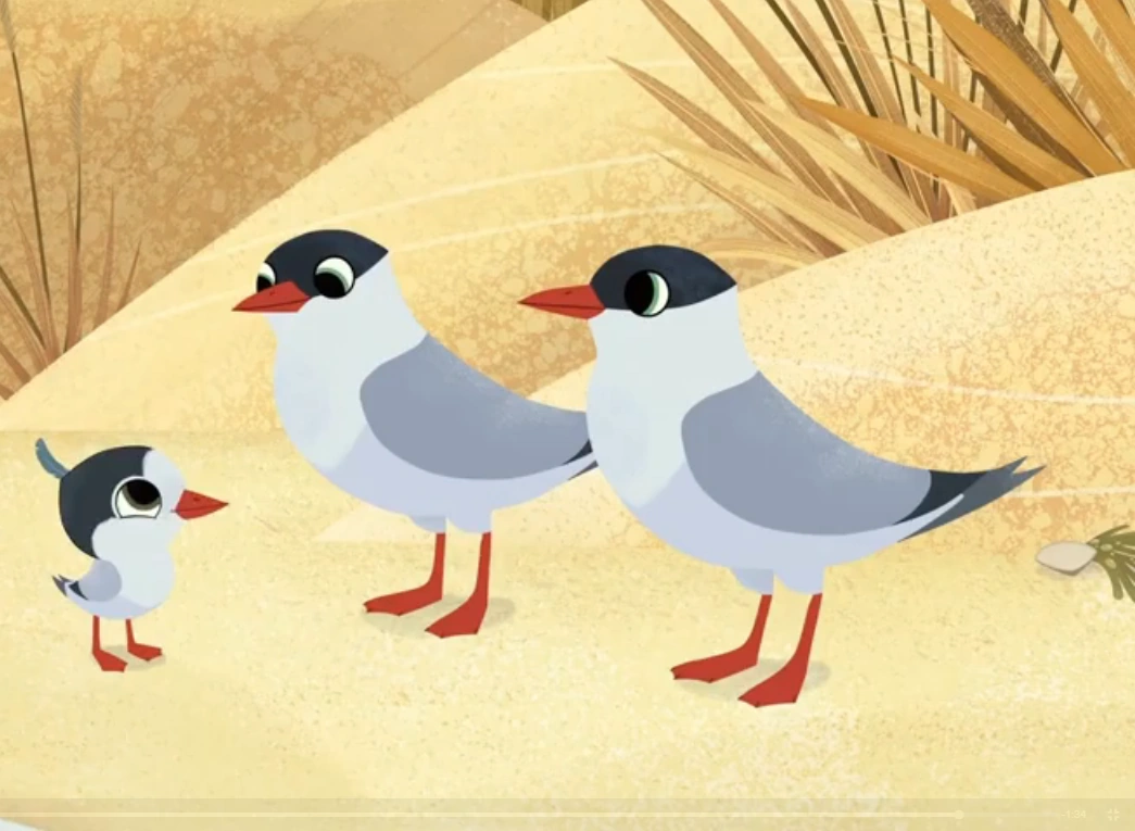 Puffin Rock Animals Alphabet | NatureRules1 Wiki | Fandom