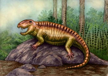 Sphenacodon | NatureRules1 Wiki | Fandom