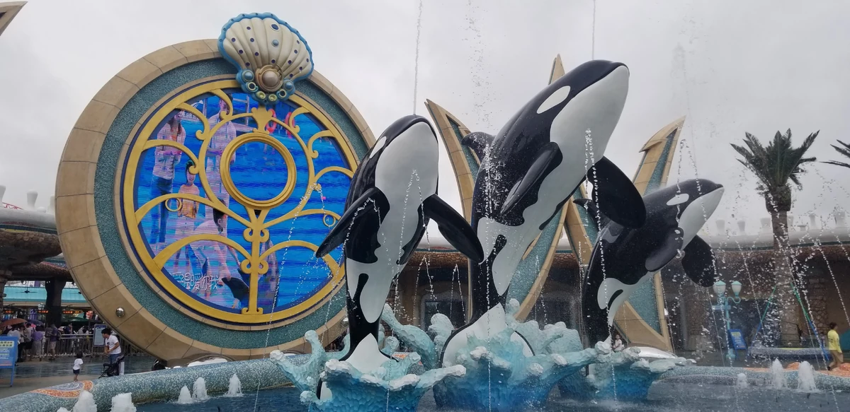 Alula Whale | NatureRules1 Wiki | Fandom