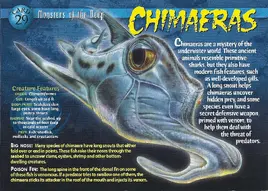 Cape Elephantfish | NatureRules1 Wiki | Fandom
