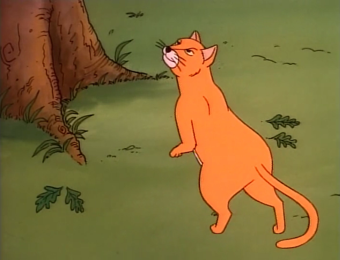 List of The Magic School Bus Species | NatureRules1 Wiki | Fandom