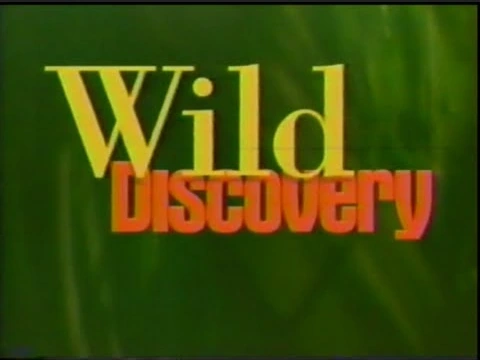 Wild Discovery | NatureRules1 Wiki | Fandom
