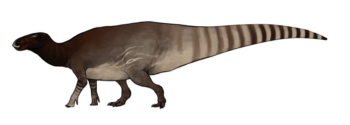 Eolambia | NatureRules1 Wiki | Fandom