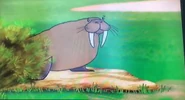 List of Mama Mirabelle's Home Movies Species | NatureRules1 Wiki | Fandom