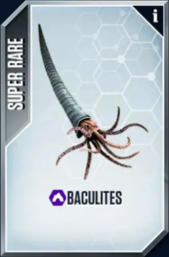 Baculites | NatureRules1 Wiki | Fandom