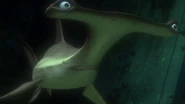 List of Species in Finding Nemo | NatureRules1 Wiki | Fandom