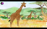 Reticulated Giraffe | NatureRules1 Wiki | Fandom