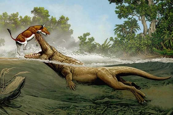 Ambulocetus | NatureRules1 Wiki | Fandom