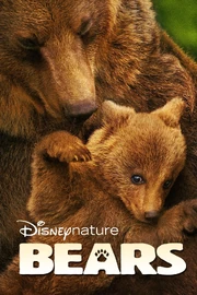 Bears (2014) | NatureRules1 Wiki | Fandom