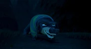 Dachshund | NatureRules1 Wiki | Fandom