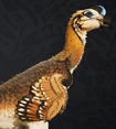 Dinosaur (2000) | NatureRules1 Wiki | Fandom