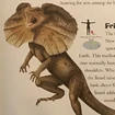 Wildlife Fact File | NatureRules1 Wiki | Fandom