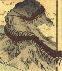 Omukade | NatureRules1 Wiki | Fandom