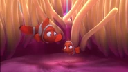 List of Species in Finding Nemo | NatureRules1 Wiki | Fandom
