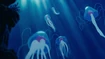 The Dolphin: Story of a Dreamer | NatureRules1 Wiki | Fandom
