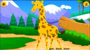 Reticulated Giraffe | NatureRules1 Wiki | Fandom