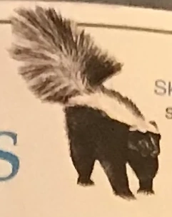 Striped Skunk/Books | NatureRules1 Wiki | Fandom