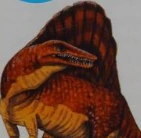 Spinosaurus | NatureRules1 Wiki | Fandom