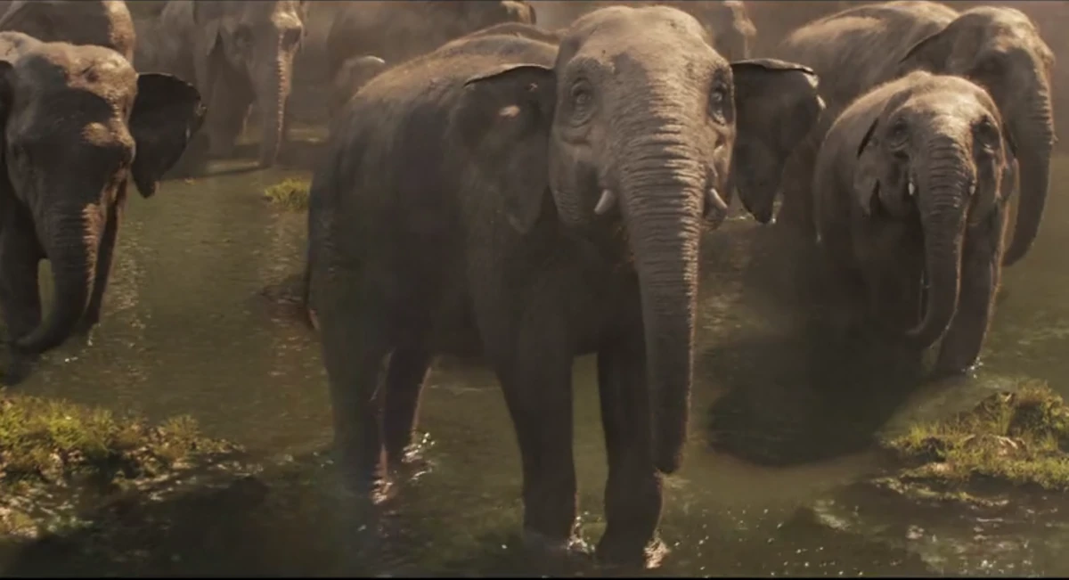 Fort Worth Zoo | NatureRules1 Wiki | Fandom