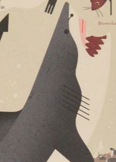 Sharks | NatureRules1 Wiki | Fandom