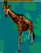 Giraffe | NatureRules1 Wiki | Fandom