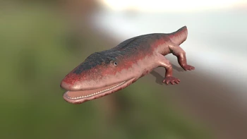 Hynerpeton | NatureRules1 Wiki | Fandom