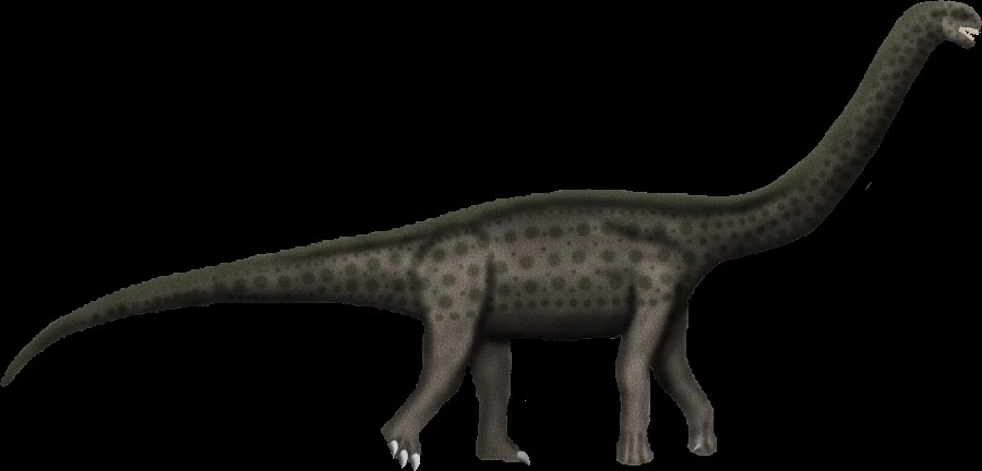 Austrosaurus | NatureRules1 Wiki | Fandom
